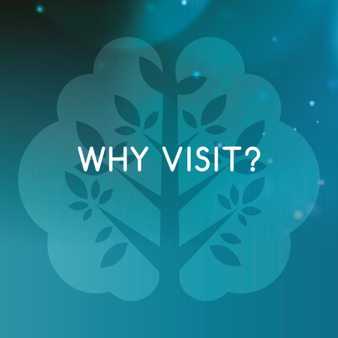 Why Visit - The Mental Health & Wellbeing Wales Show